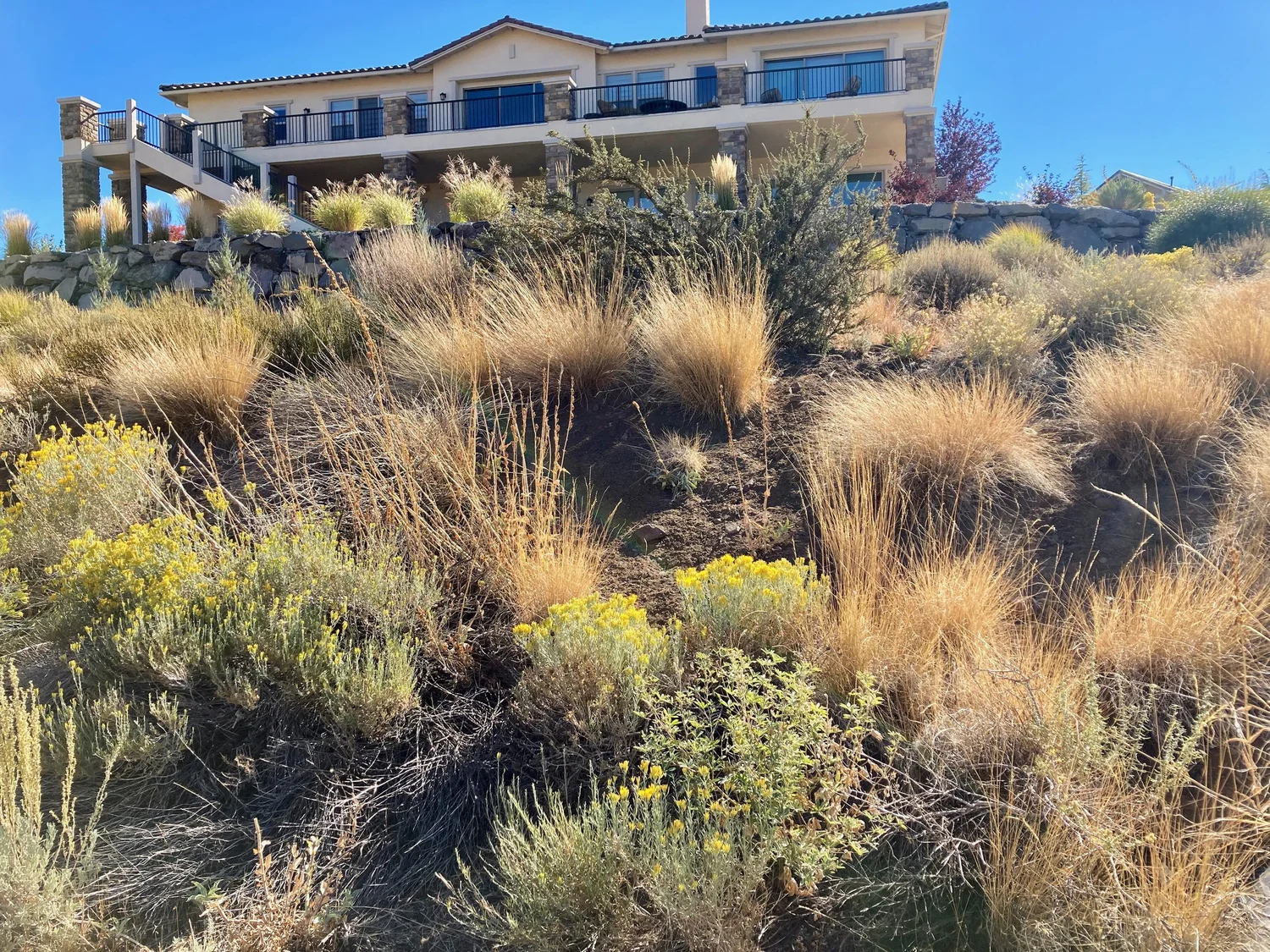 NATIVES MATTER — One Truckee River