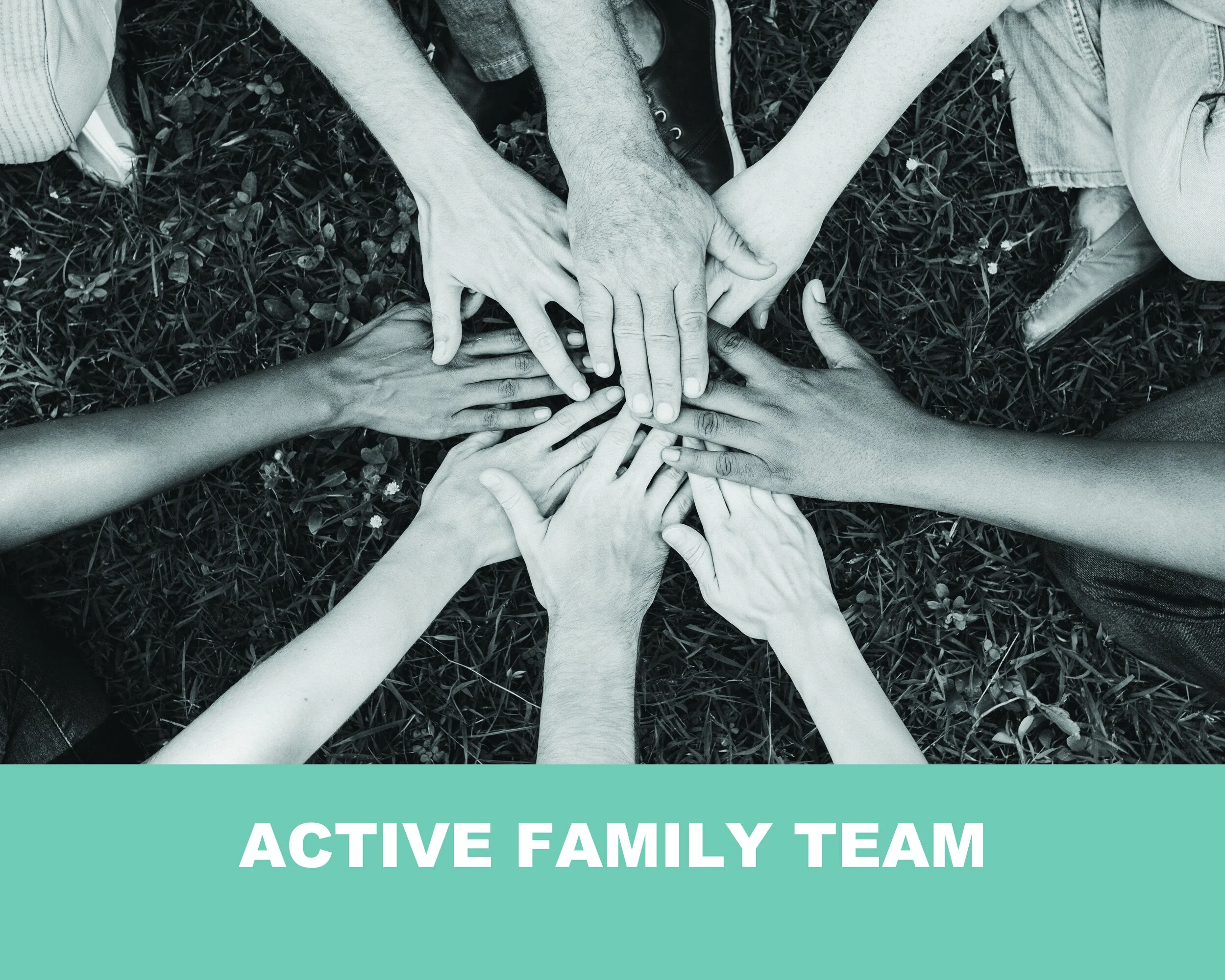 General 2 — NJ Safe Babies Court Team Program