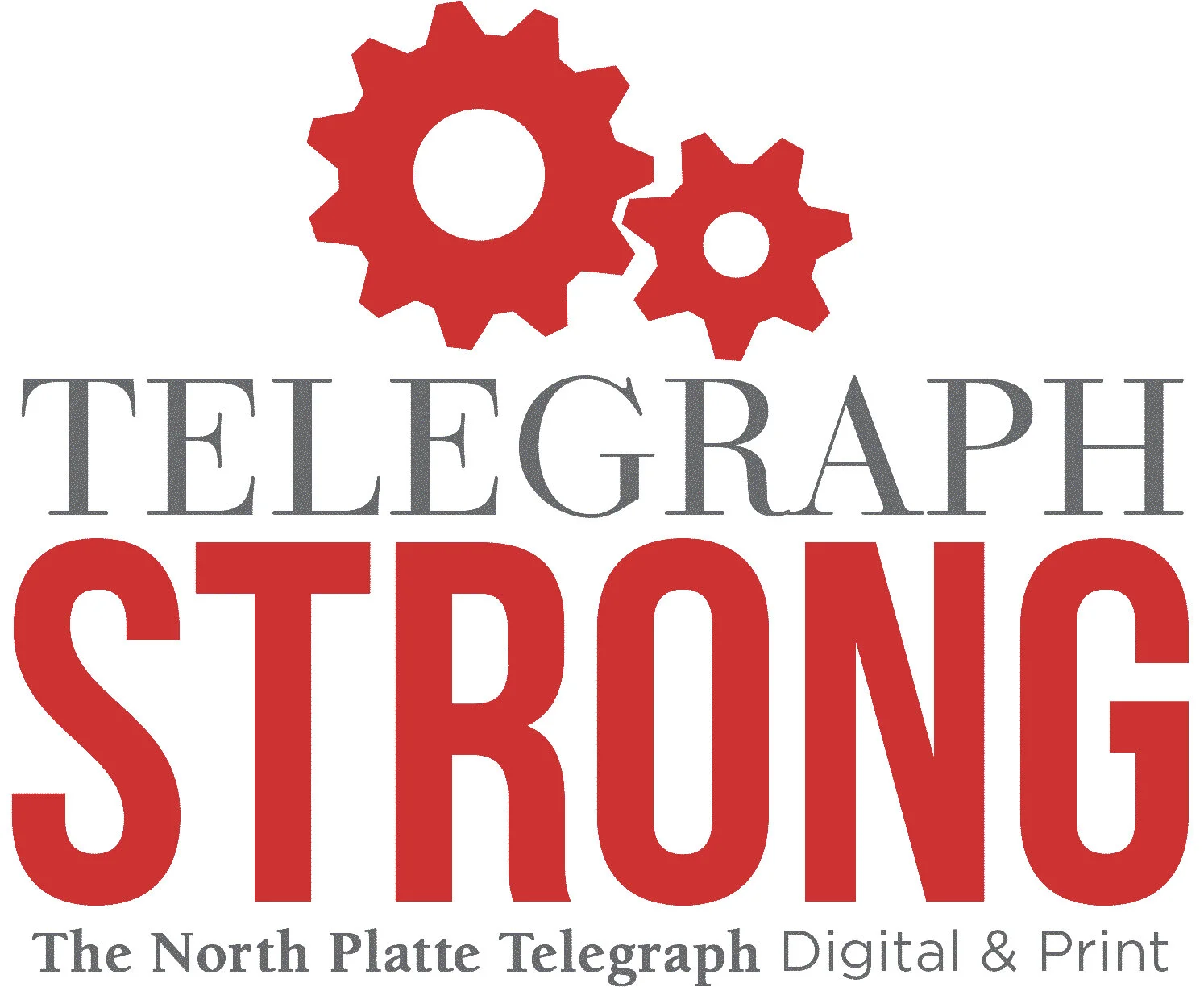 North Platte Telegraph Article — North Platte Community Build Playground