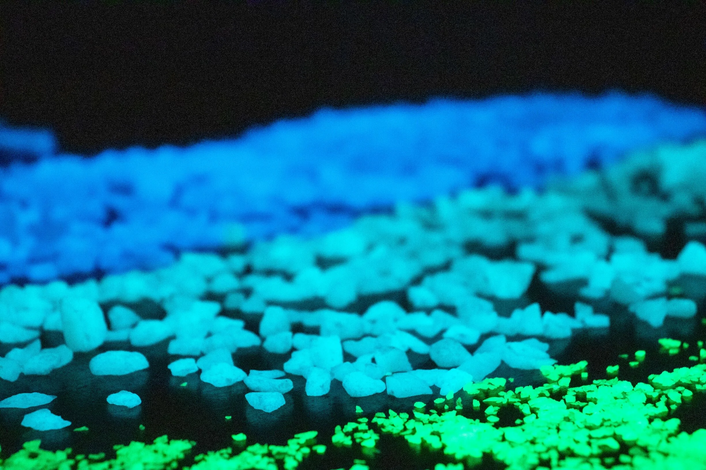 Gallery — CORE Glow