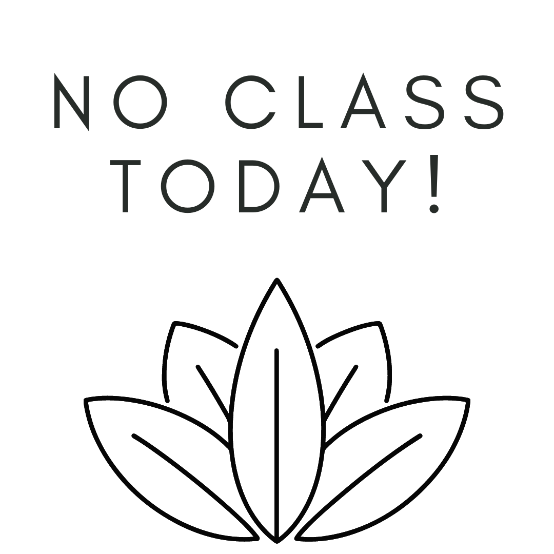 Class Schedule — Monica Milano Yoga & Movement