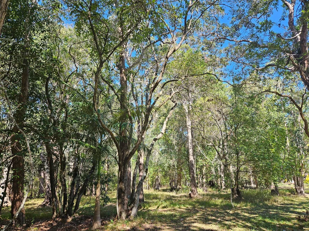 Modular Social Housing Pilot Project, Noosa Shire — Net Zero Design