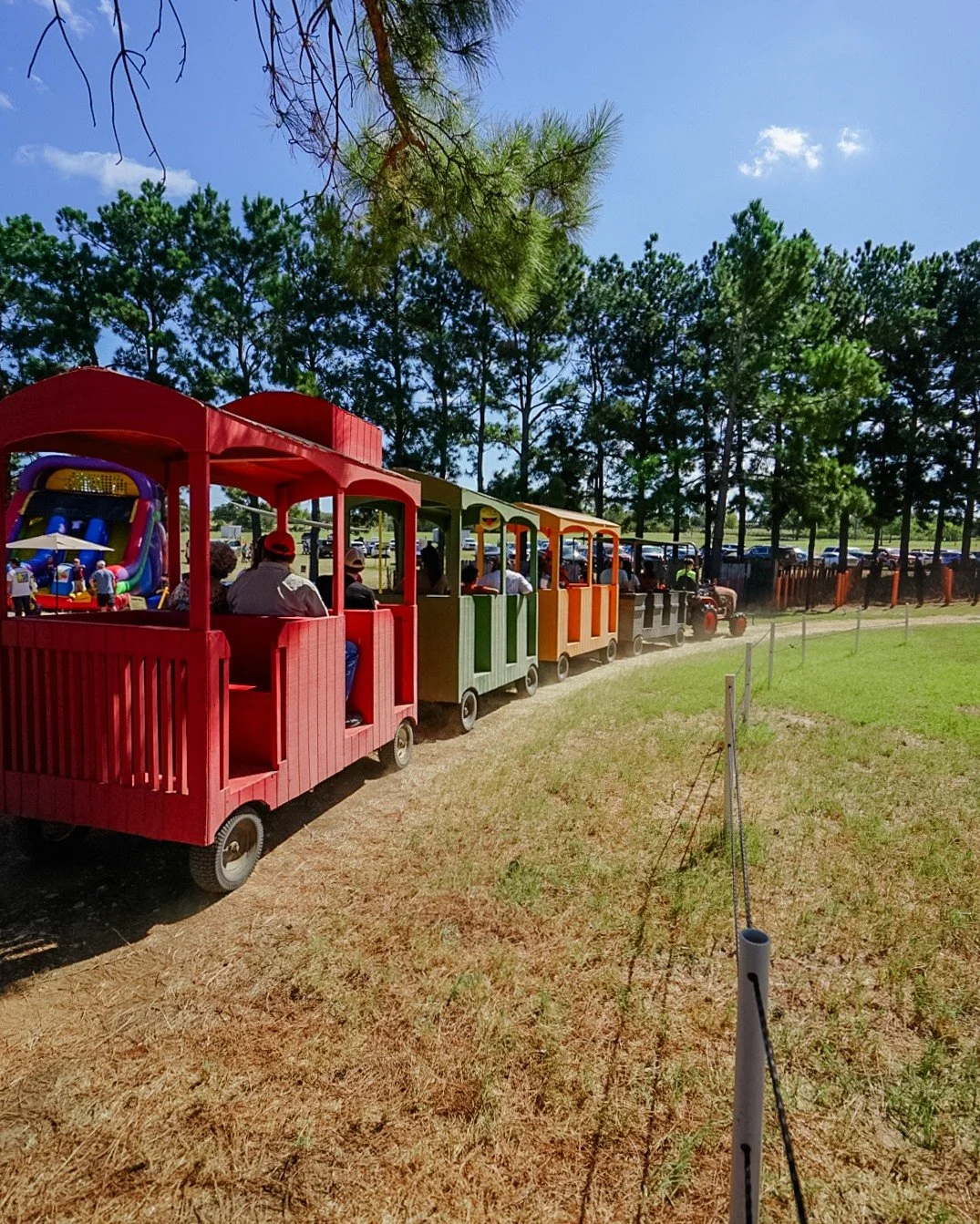Elgin CHRISTmas Tree Farm