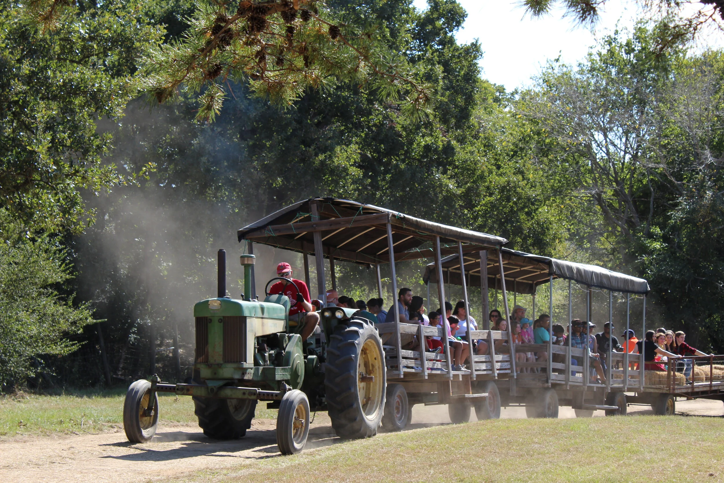 Gallery | Experience Farm Beauty—Visit Today — Elgin CHRISTmas Tree Farm