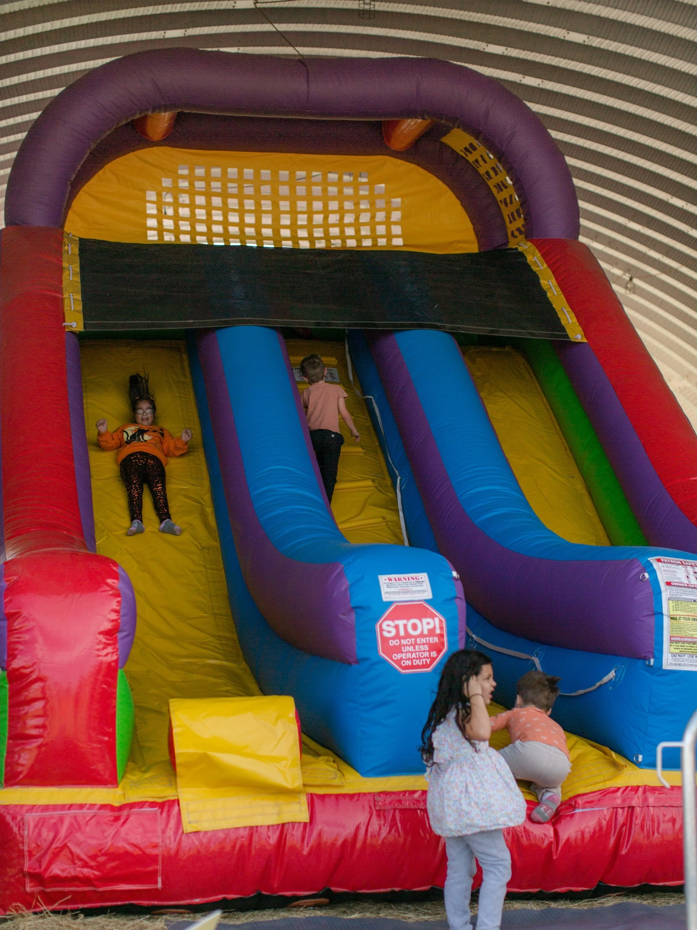 CHRISTmas Season — Elgin CHRISTmas Tree Farm