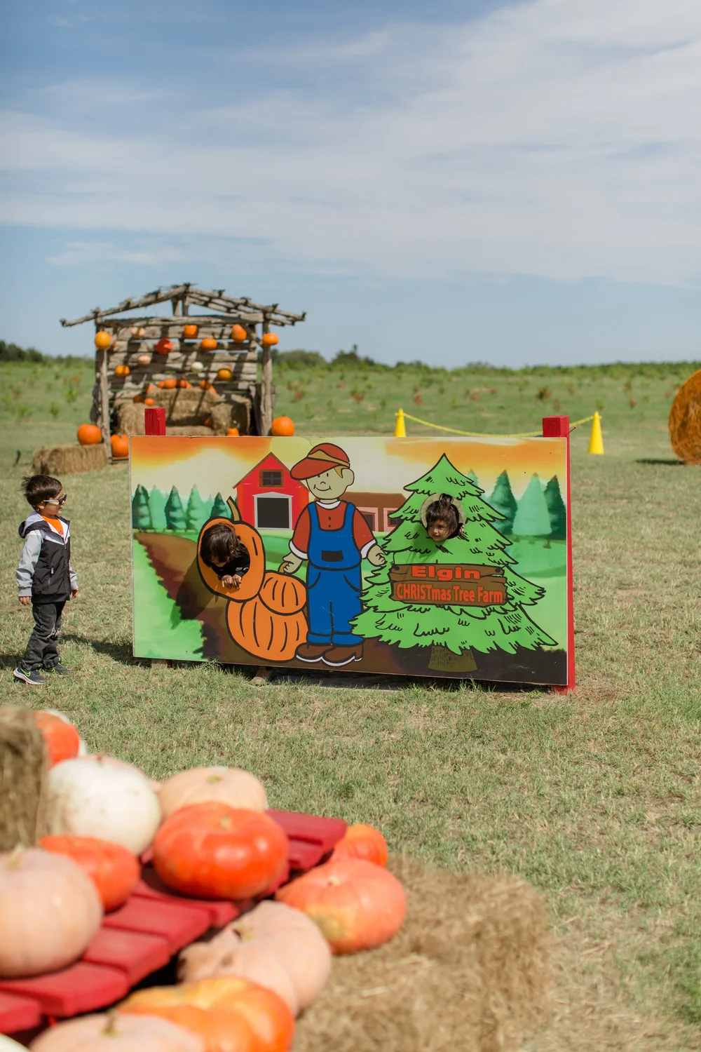 Gallery — Elgin CHRISTmas Tree Farm