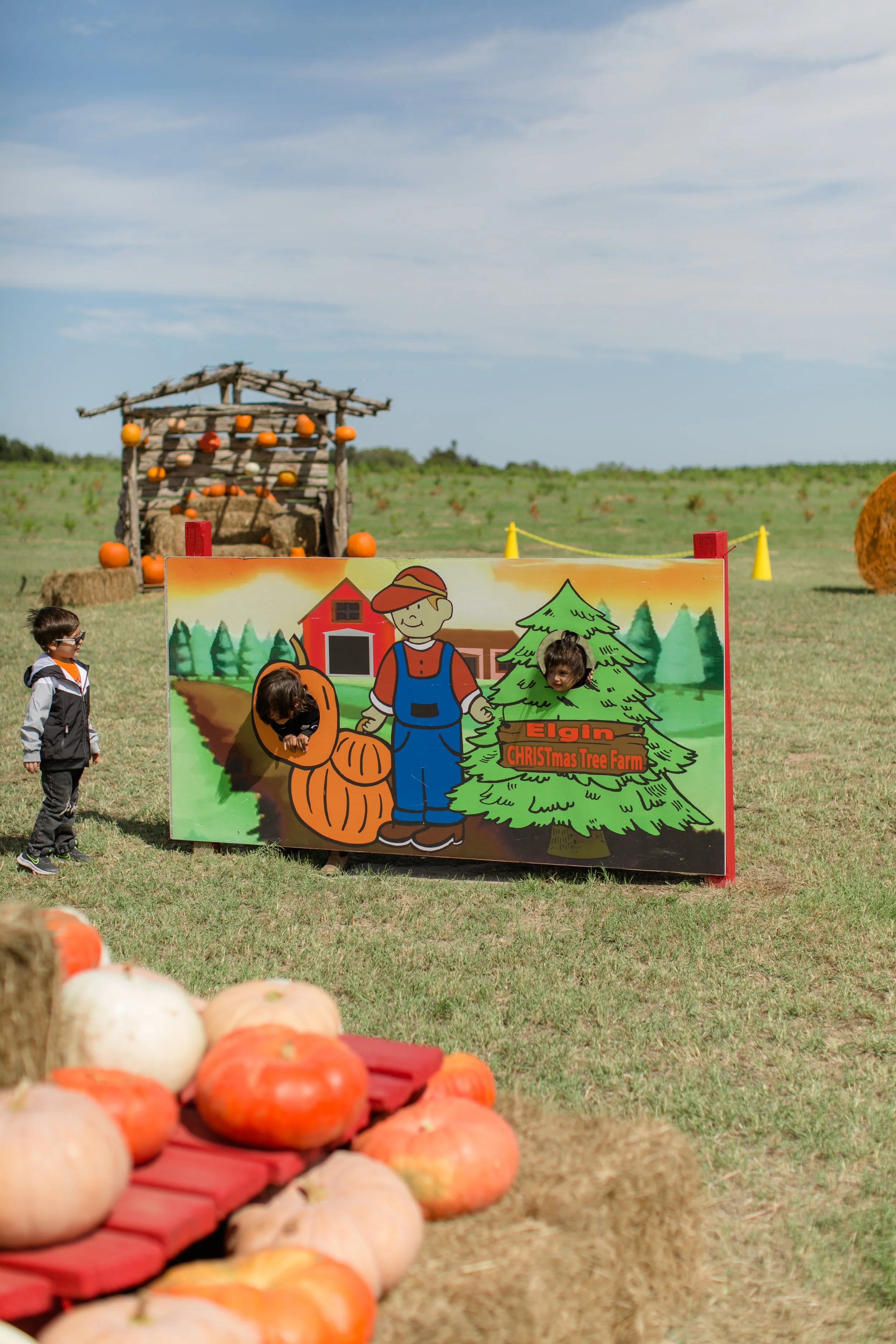 Gallery — Elgin CHRISTmas Tree Farm