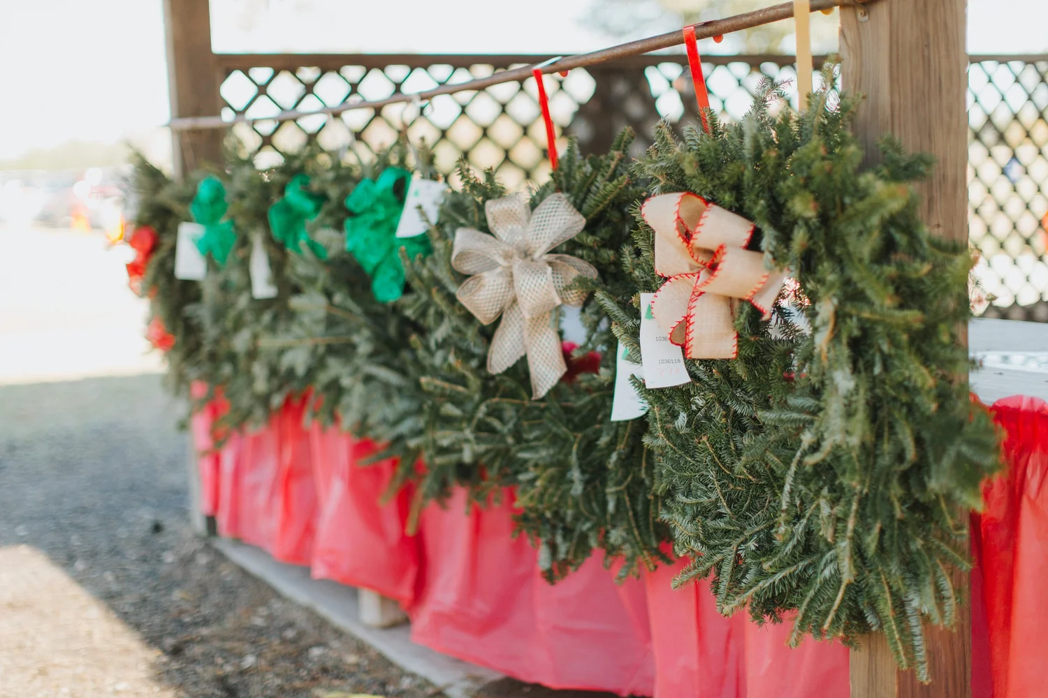 CHRISTmas Season — Elgin CHRISTmas Tree Farm