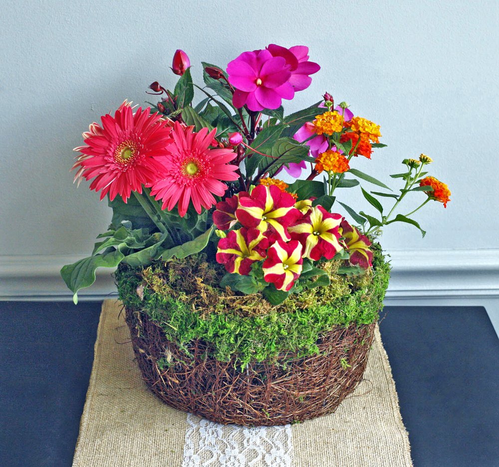 Vibrant Blooming Plant Basket — Long Stems - Exceptional Floral Design ...