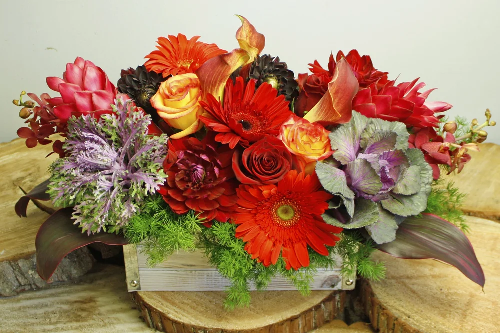 Fall Gems — Long Stems - Exceptional Floral Design in Merion