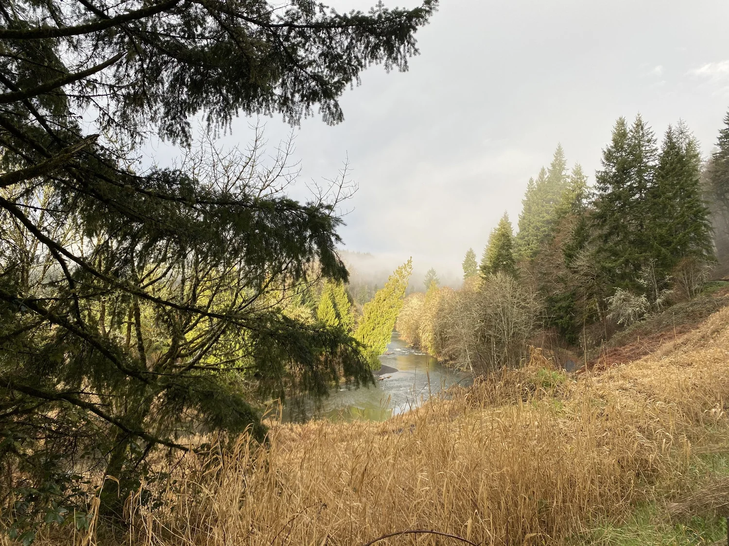 Visit — THE RIVERBEND PRESERVE