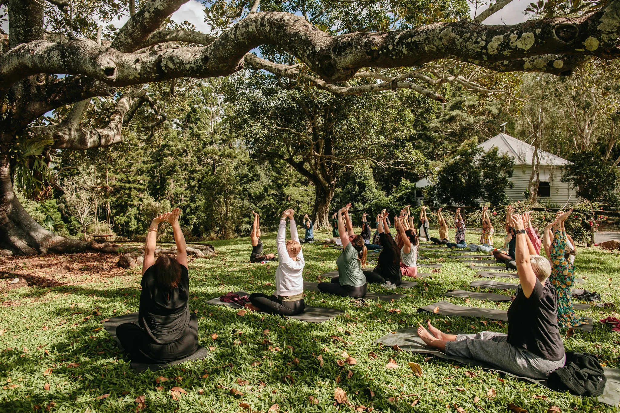 Yoga with Paula Hindle | Mount Samson QLD | Samford Valley | North ...