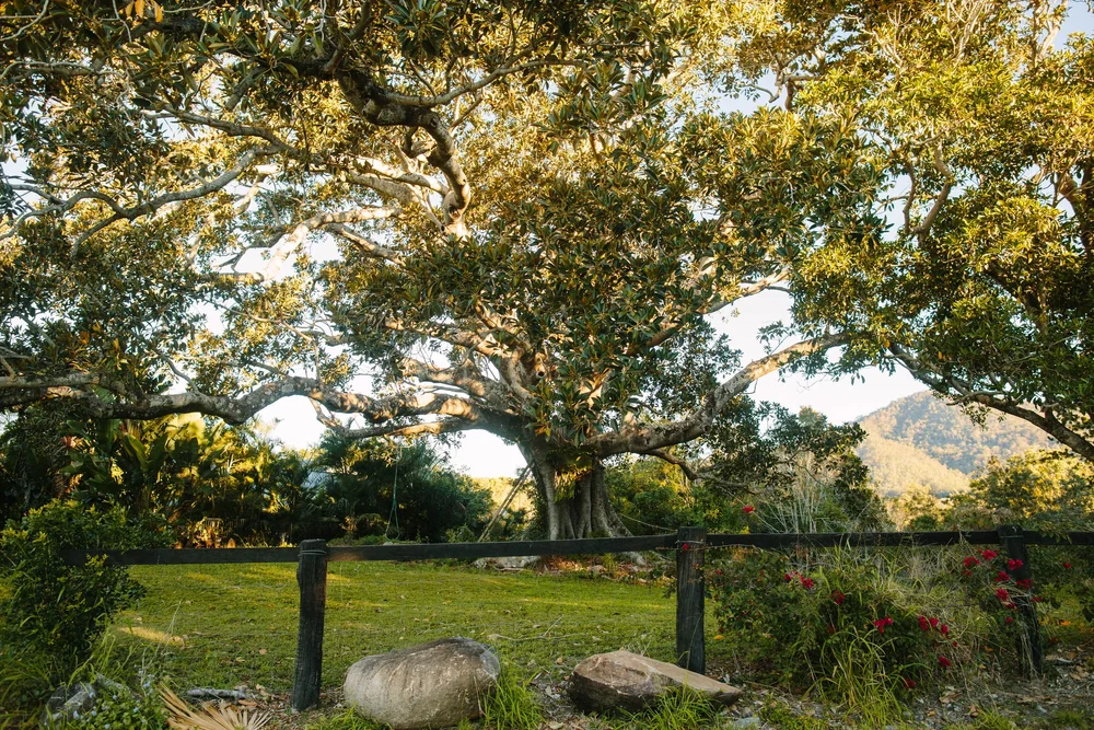General Practice | Samford Valley General Practice | Brisbane General ...