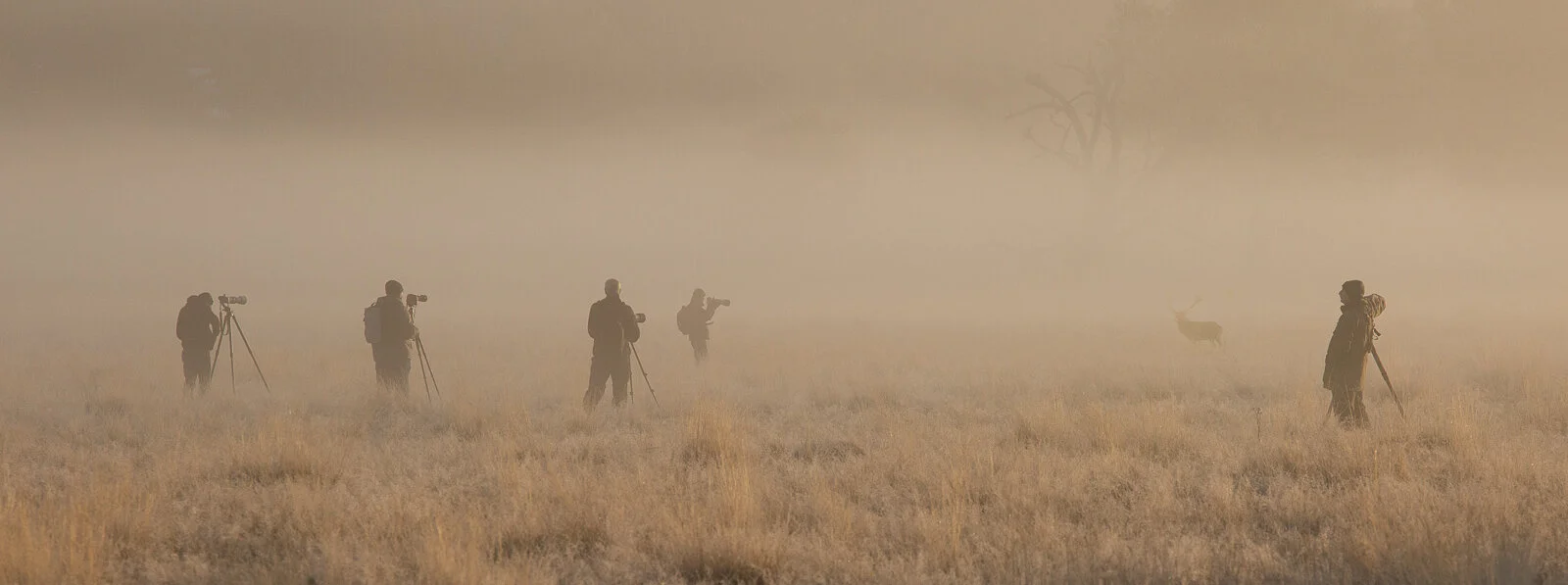 Photography by Stephen Stringer