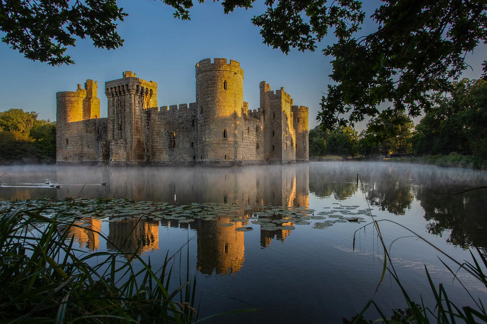 Photography by Stephen Stringer