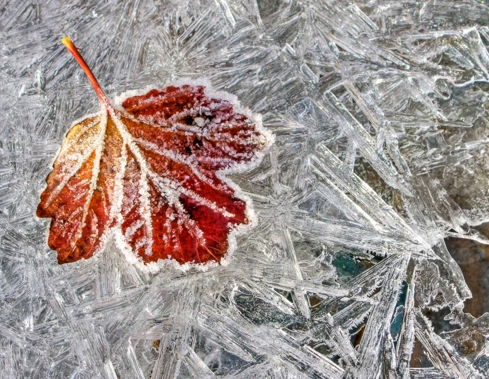 Photography by Stephen Stringer