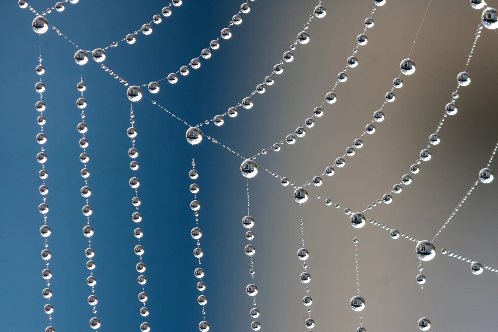 Photography by Stephen Stringer