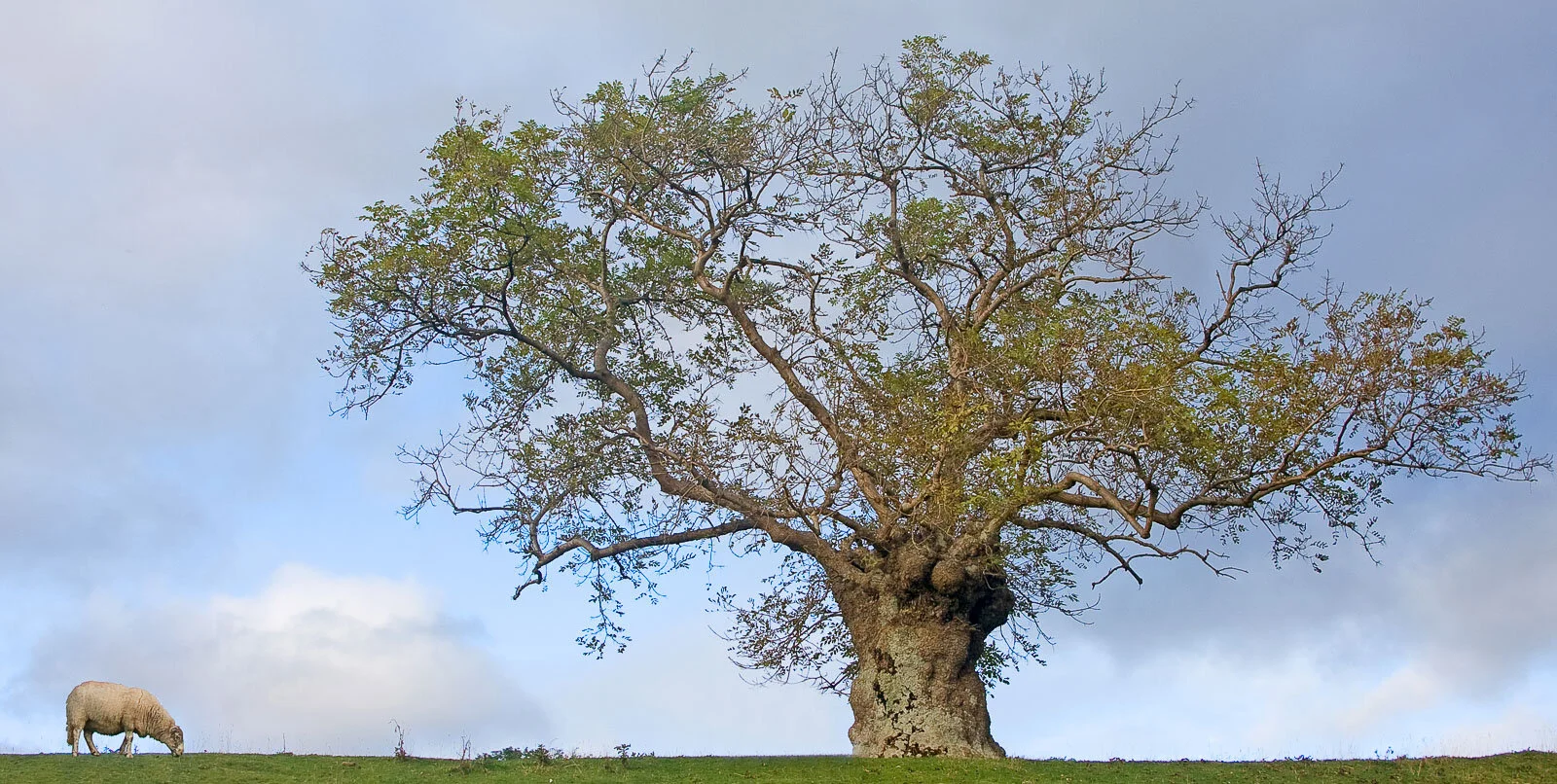 Photography by Stephen Stringer