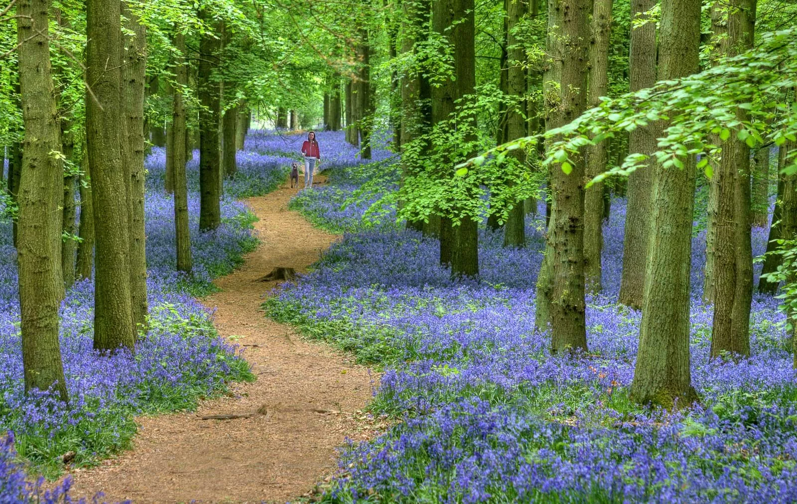 Photography by Stephen Stringer