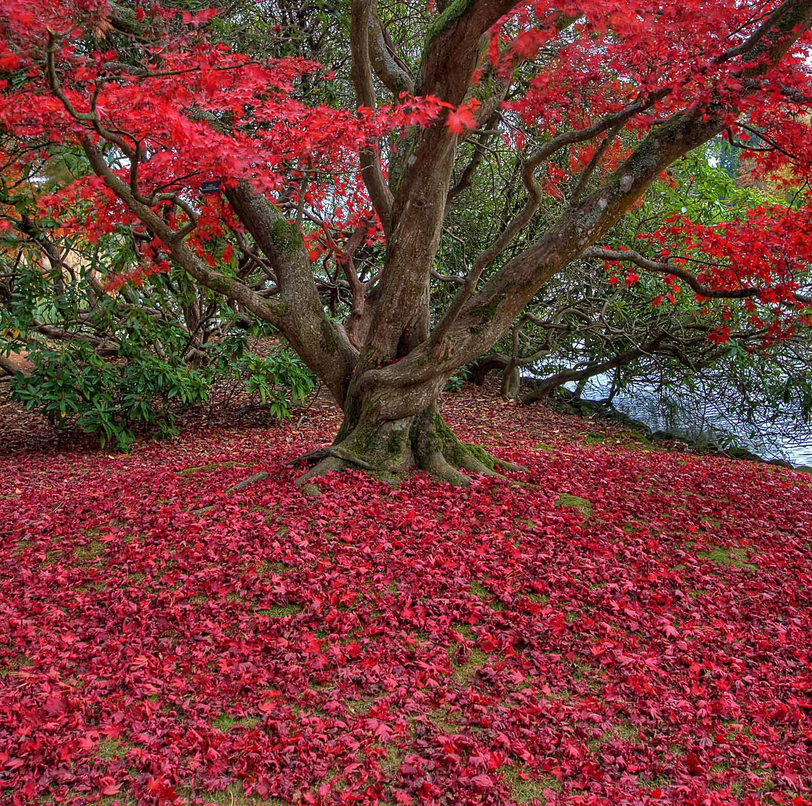 Photography by Stephen Stringer