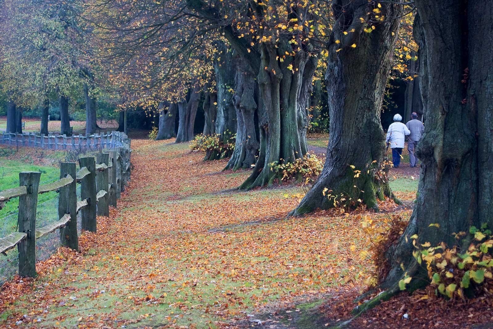 Photography by Stephen Stringer