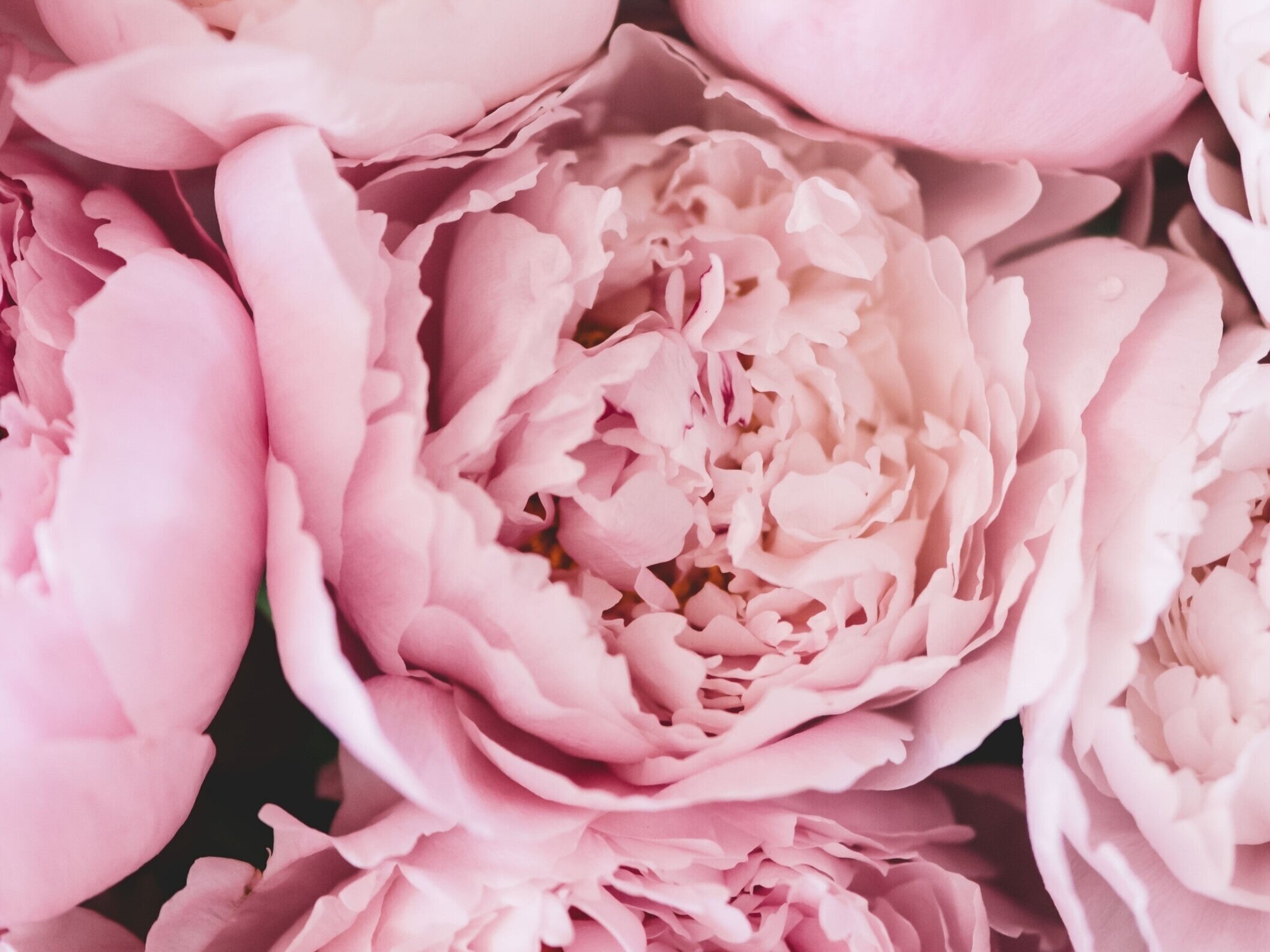 Holidays at The Bedford Village Inn — Bedford Village Inn & Grand ...