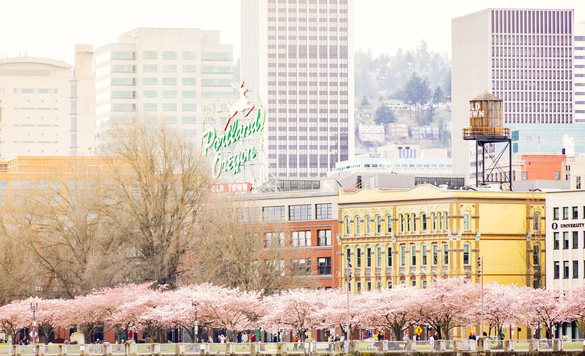 EVENTS — Here for Portland