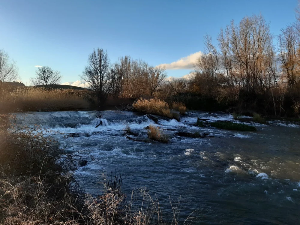 Junta Central del Jalón | administrando los usos del agua del rio jalon