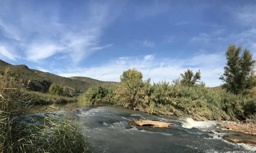 Junta Central del Jalón | administrando los usos del agua del rio jalon