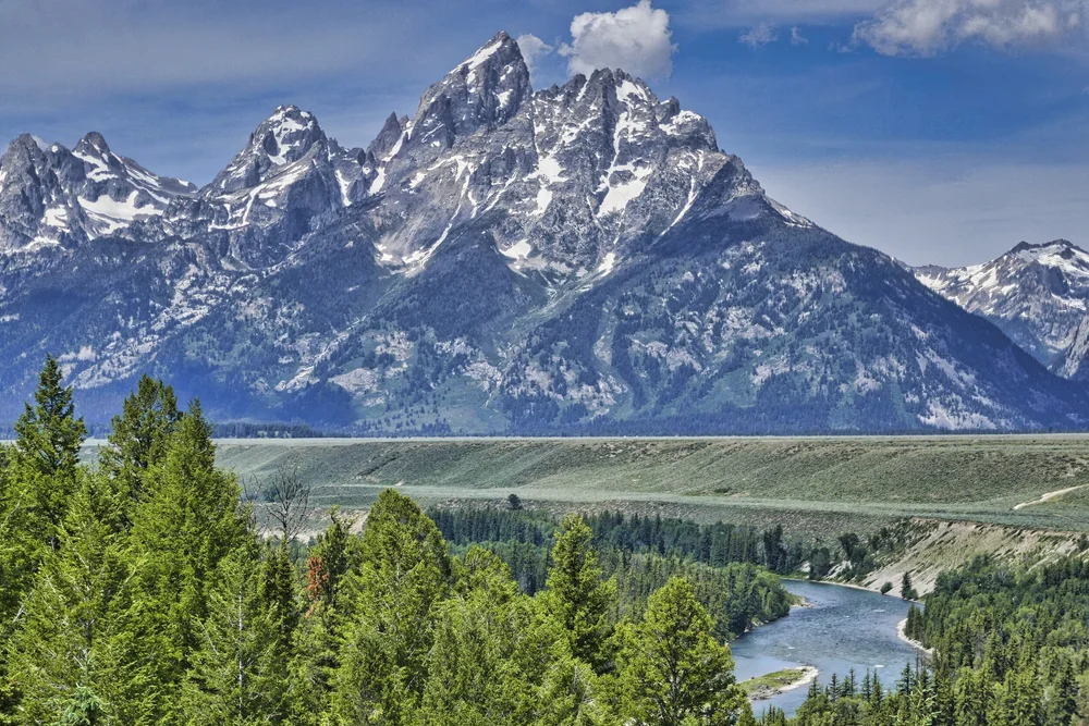 Gallery 1 — Rick Allmendinger's Stuff