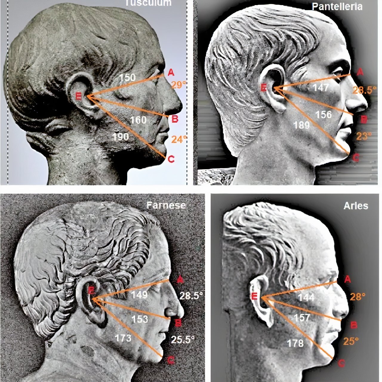 What did Julius Caesar really look like? — RoyaltyNow