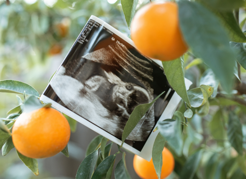 Bloom Natural Healthcare