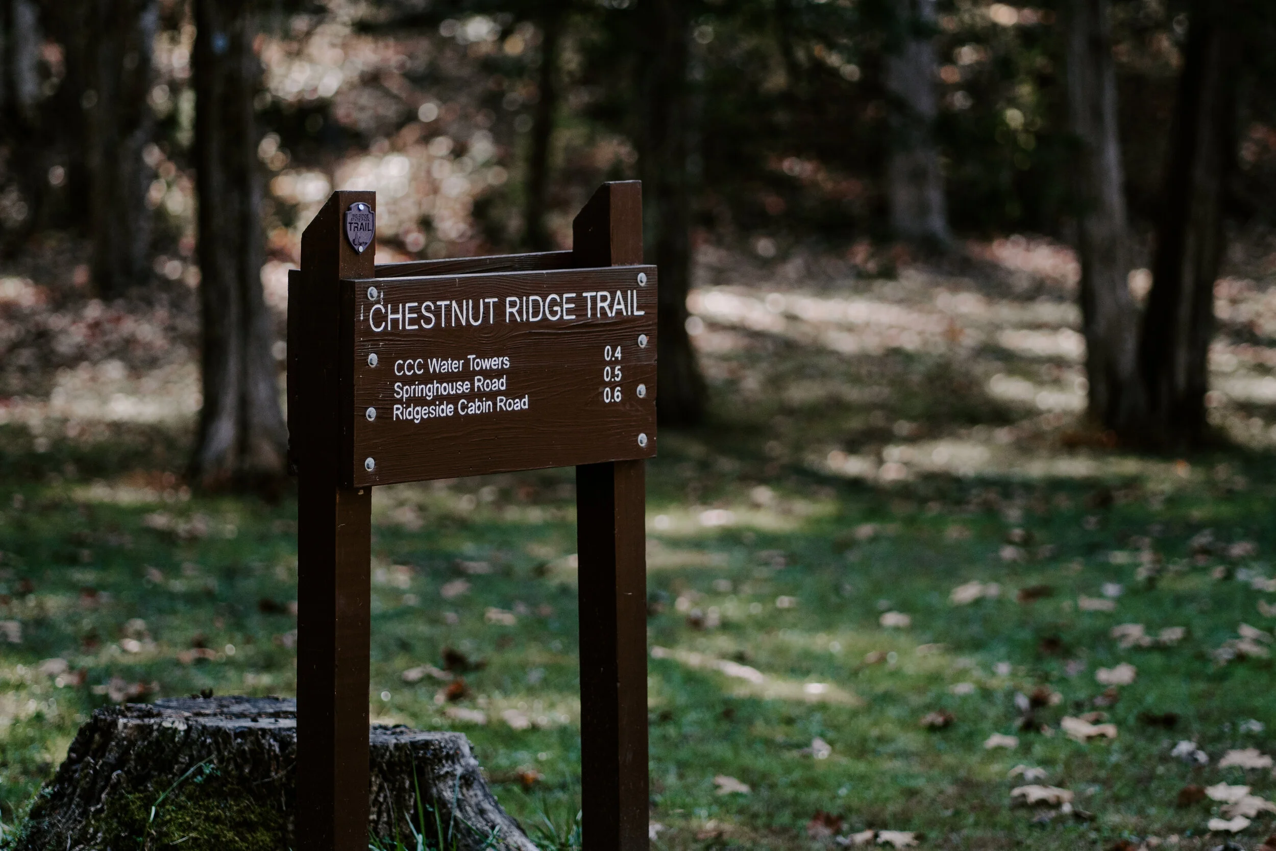 Attractions/Activities — Maynardville & Norris Lake