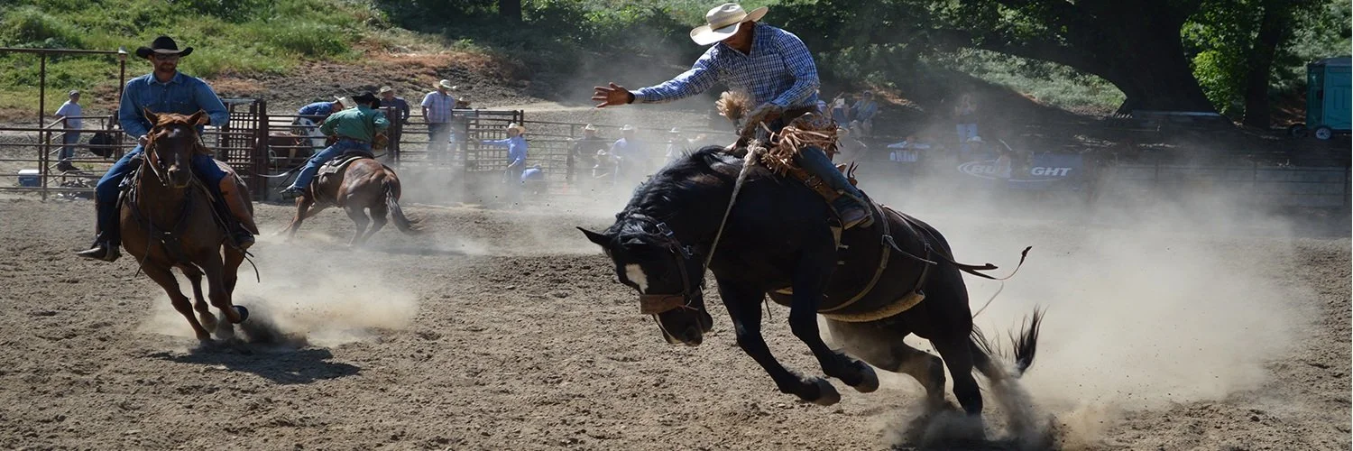Red Gate Rodeo — Maynardville & Norris Lake