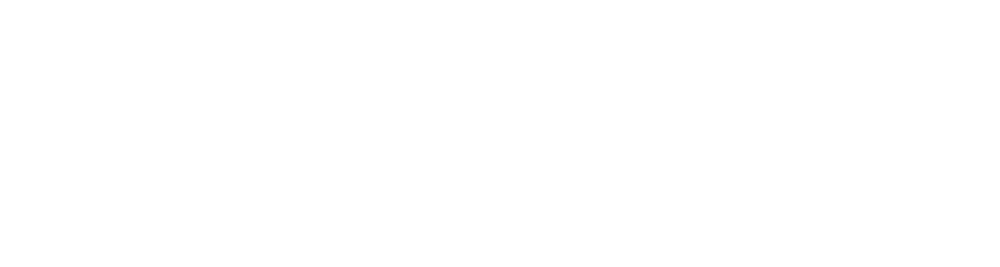 Michael Terry — Petrini & Associates, P.C.