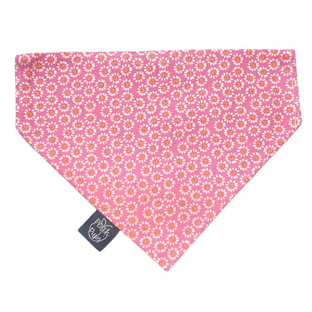 Pink Bandana Png