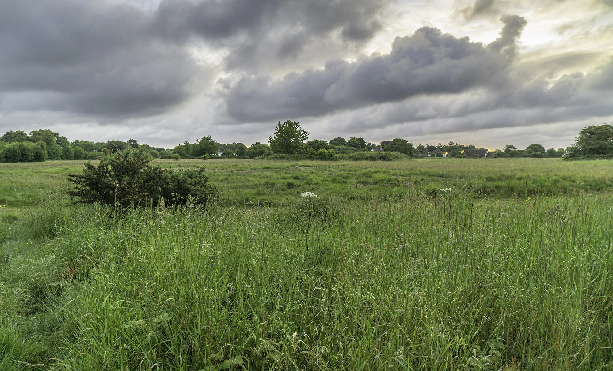 Parks and Open Spaces — Lymington and Pennington Town Council