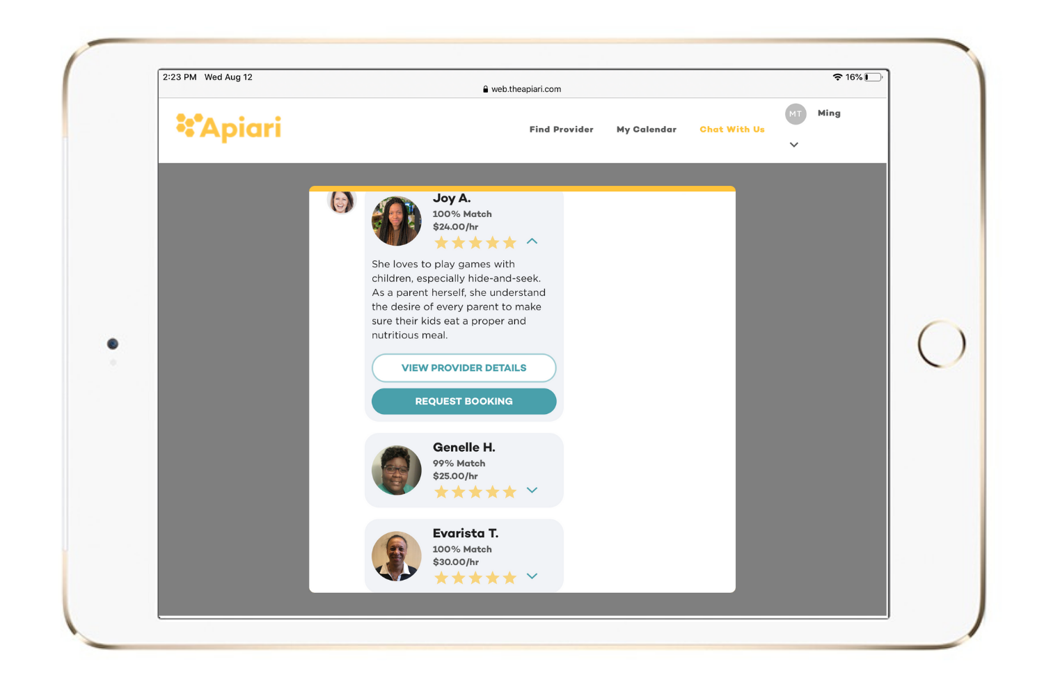 How We Work for Providers — Apiari