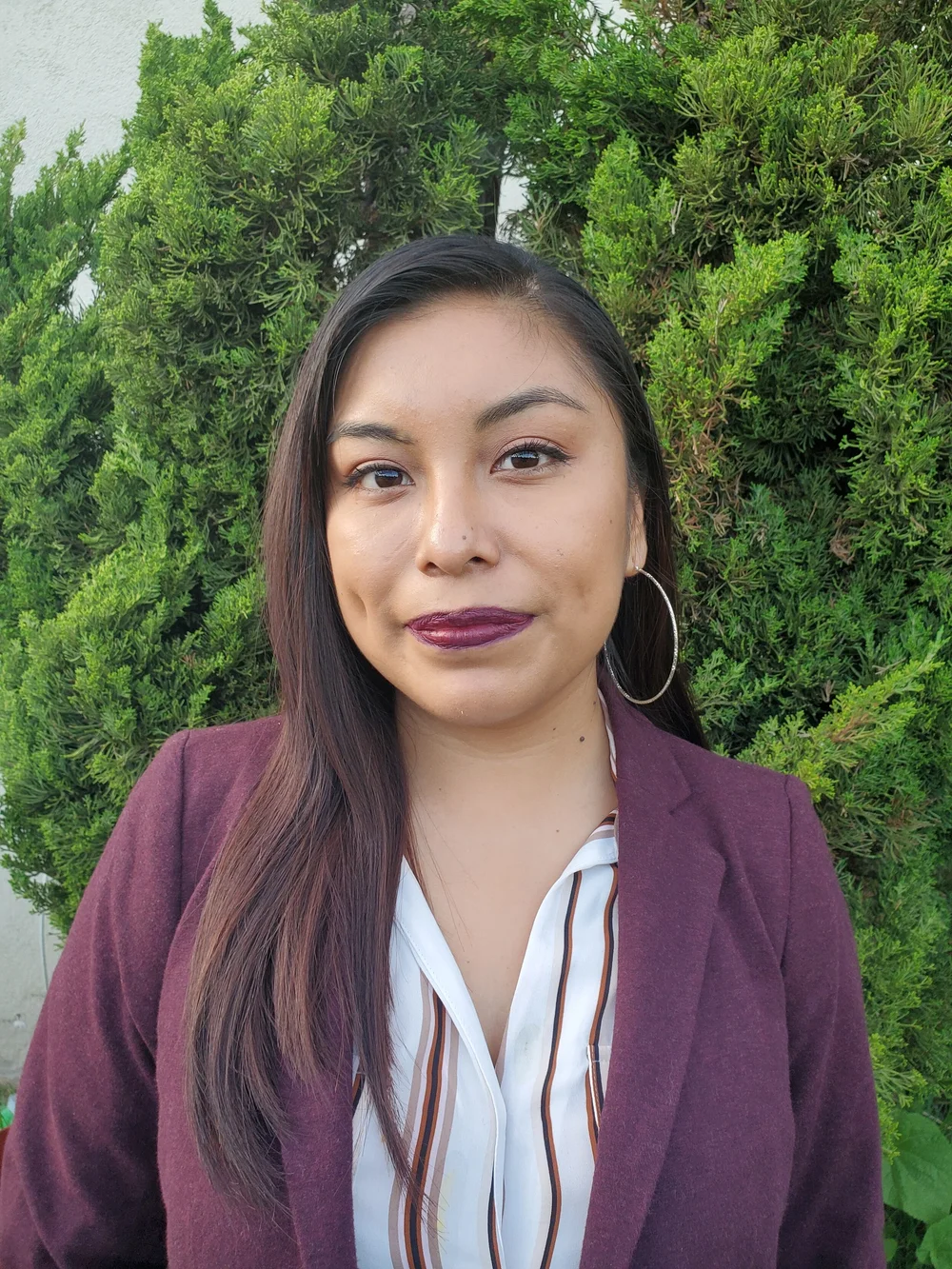 Our Team — Mental Health Advocacy Services