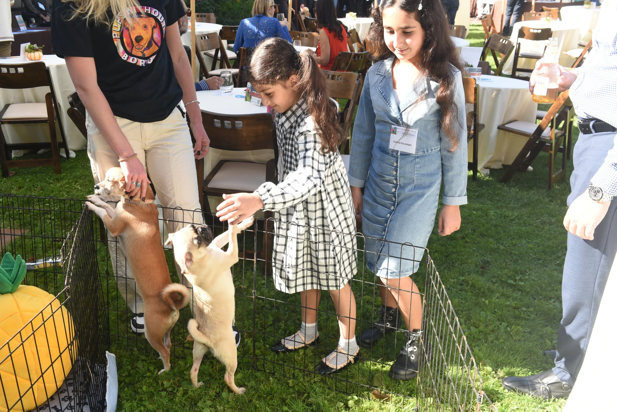 2023 Annual Celebration Highlights — Mental Health Advocacy Services