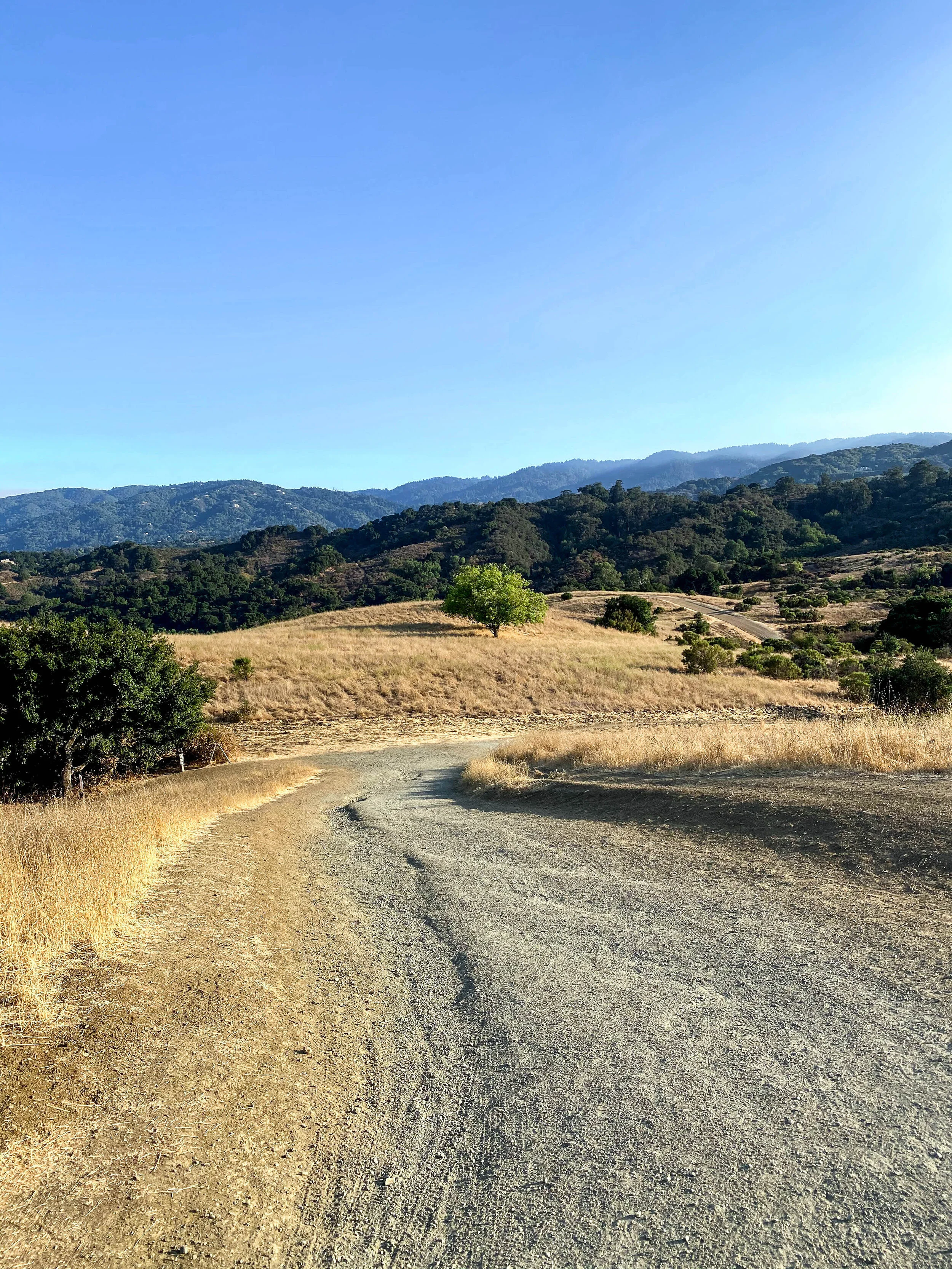 Hunter's Point | Hike & Shine