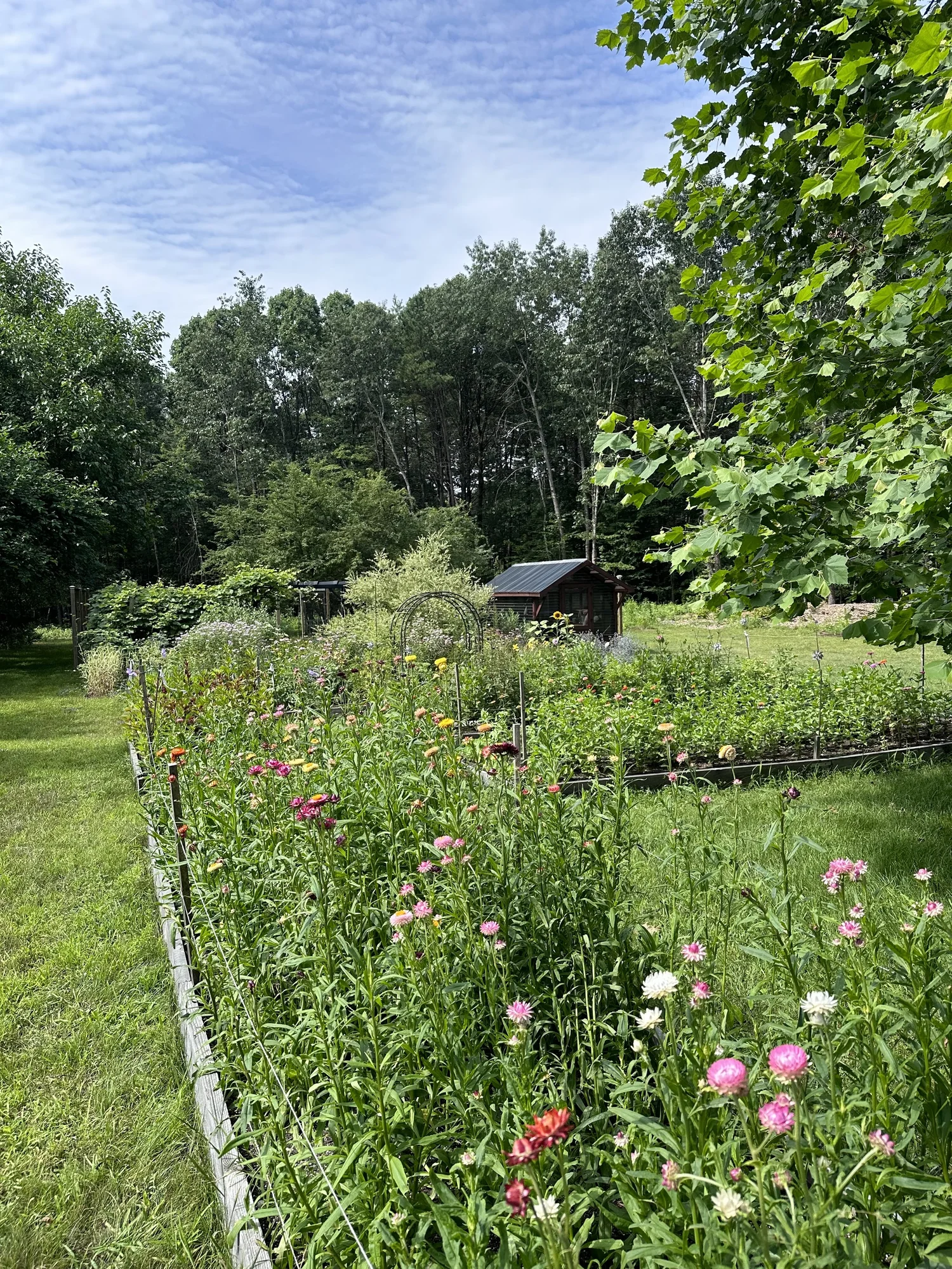 About Catbird Corner Micro Flower Farm — Catbird Corner Flower Stand