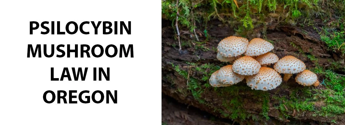 The Oregon Psilocybin Law Guide: Restrictions & Age of Use — Powell Law ...
