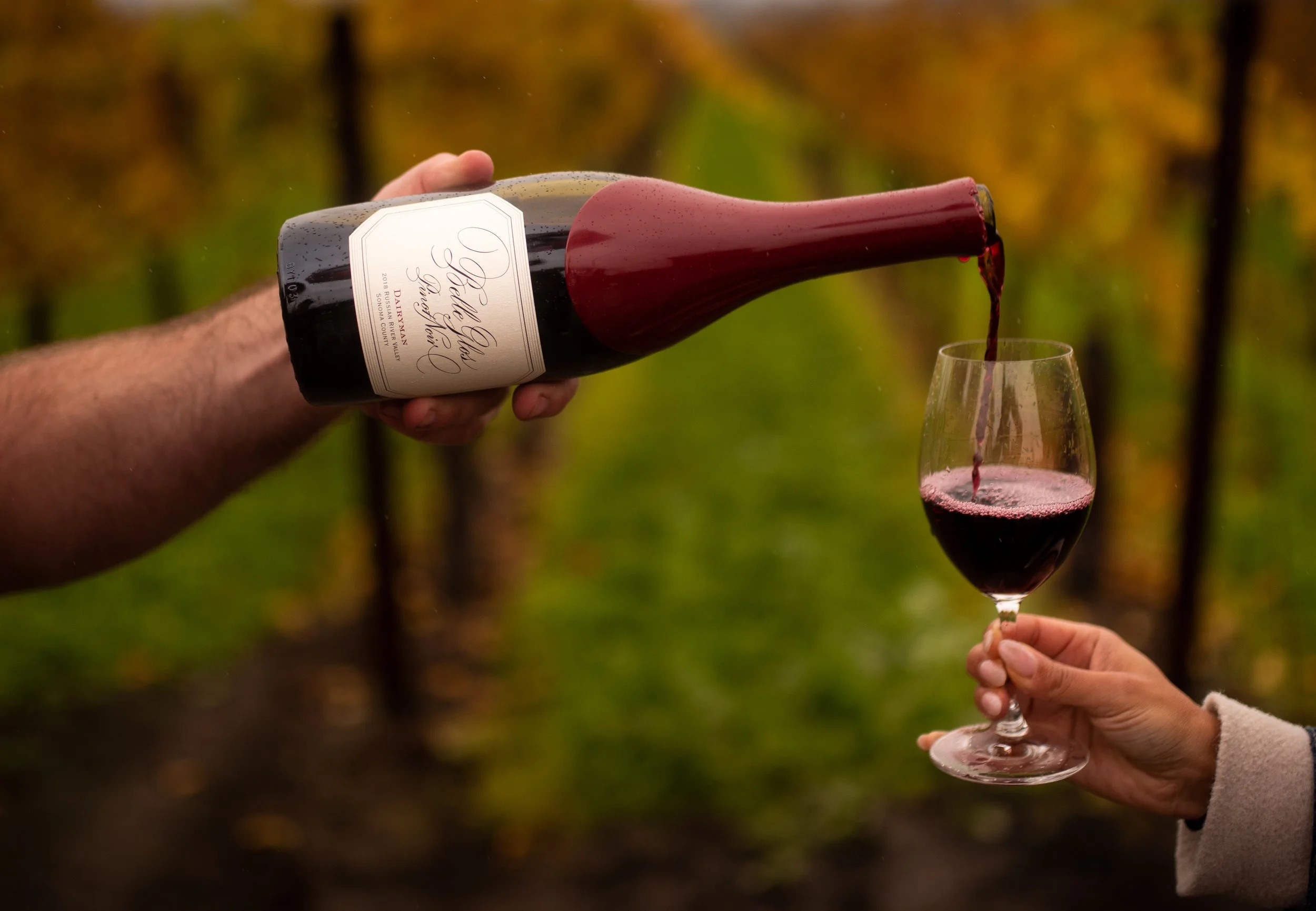 Belle Glos: The wine everybody is talking about on Tiktok — Vintner Files