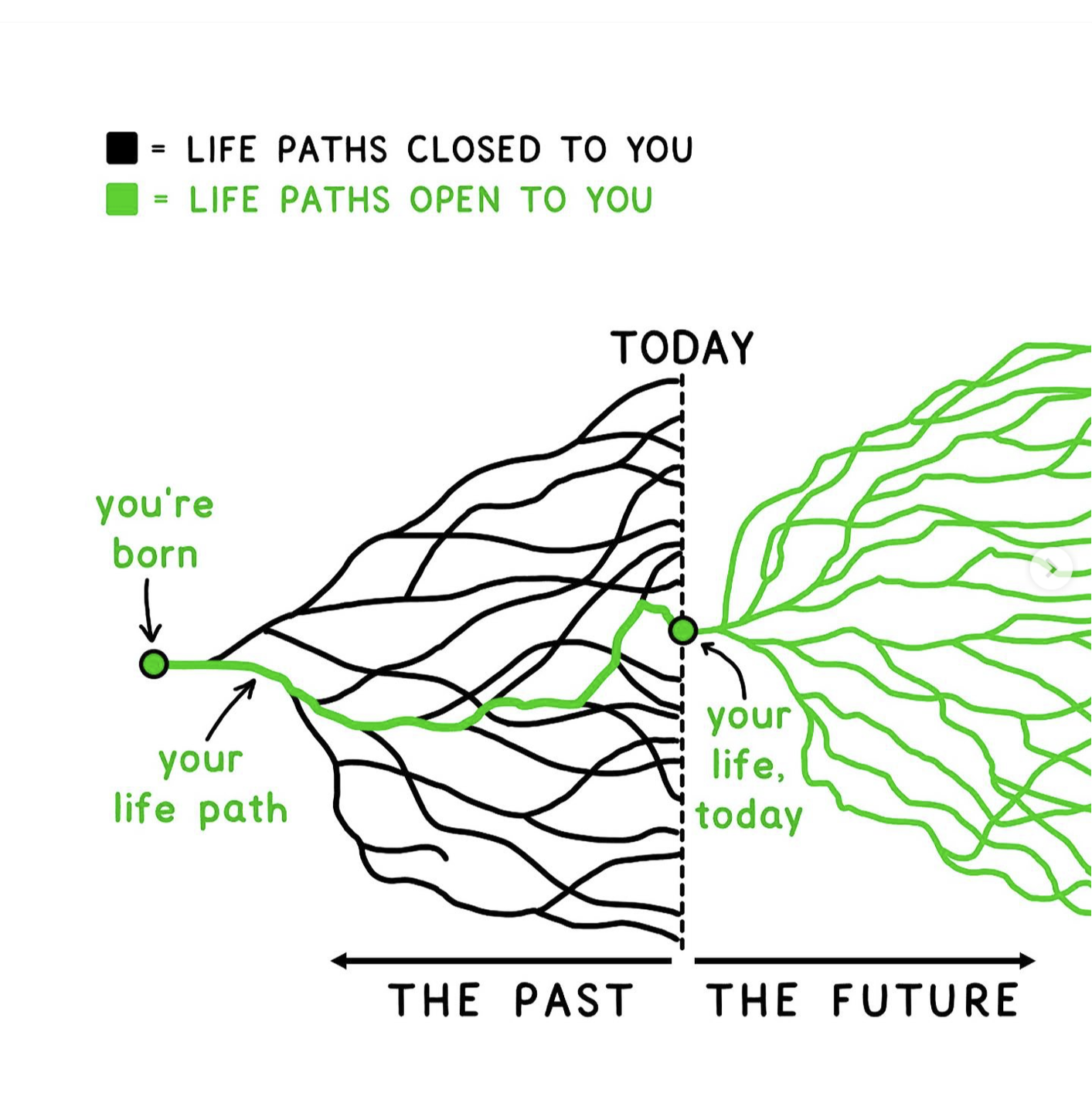 Life Paths — KOʻOLAULOA Health Center | Medical, Dental, Behavioral ...