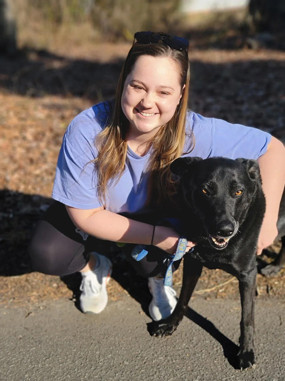 Team 1 — Winston-Salem Dog Care