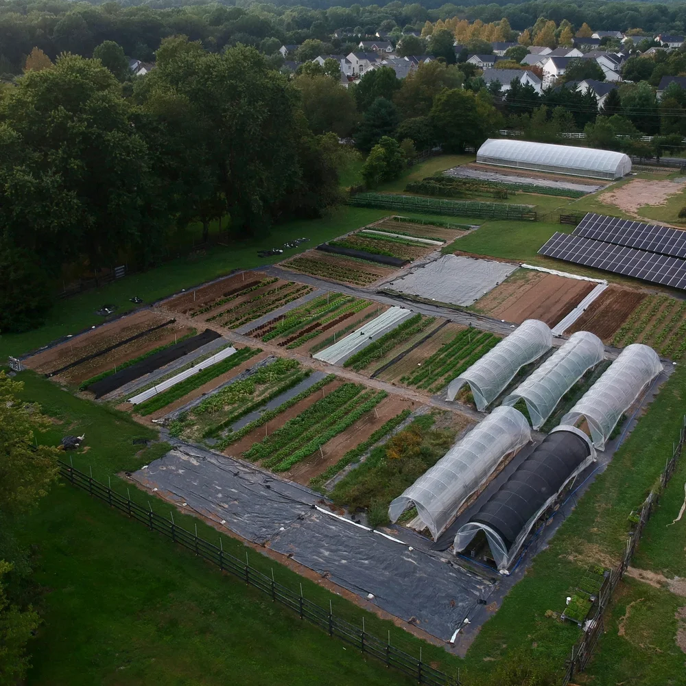How We Help - Farms — Community FarmShare