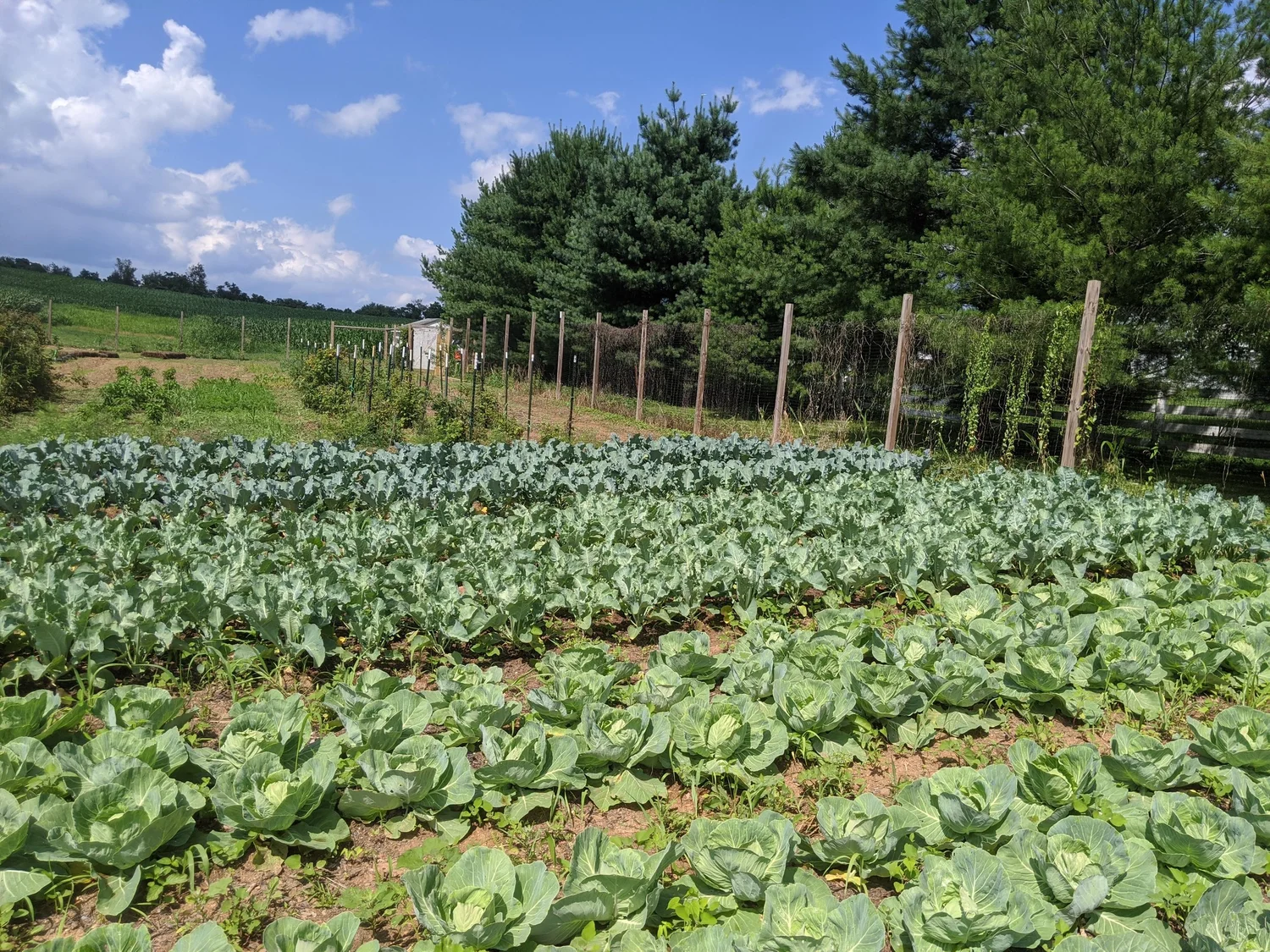 How We Help - Planet — Community FarmShare