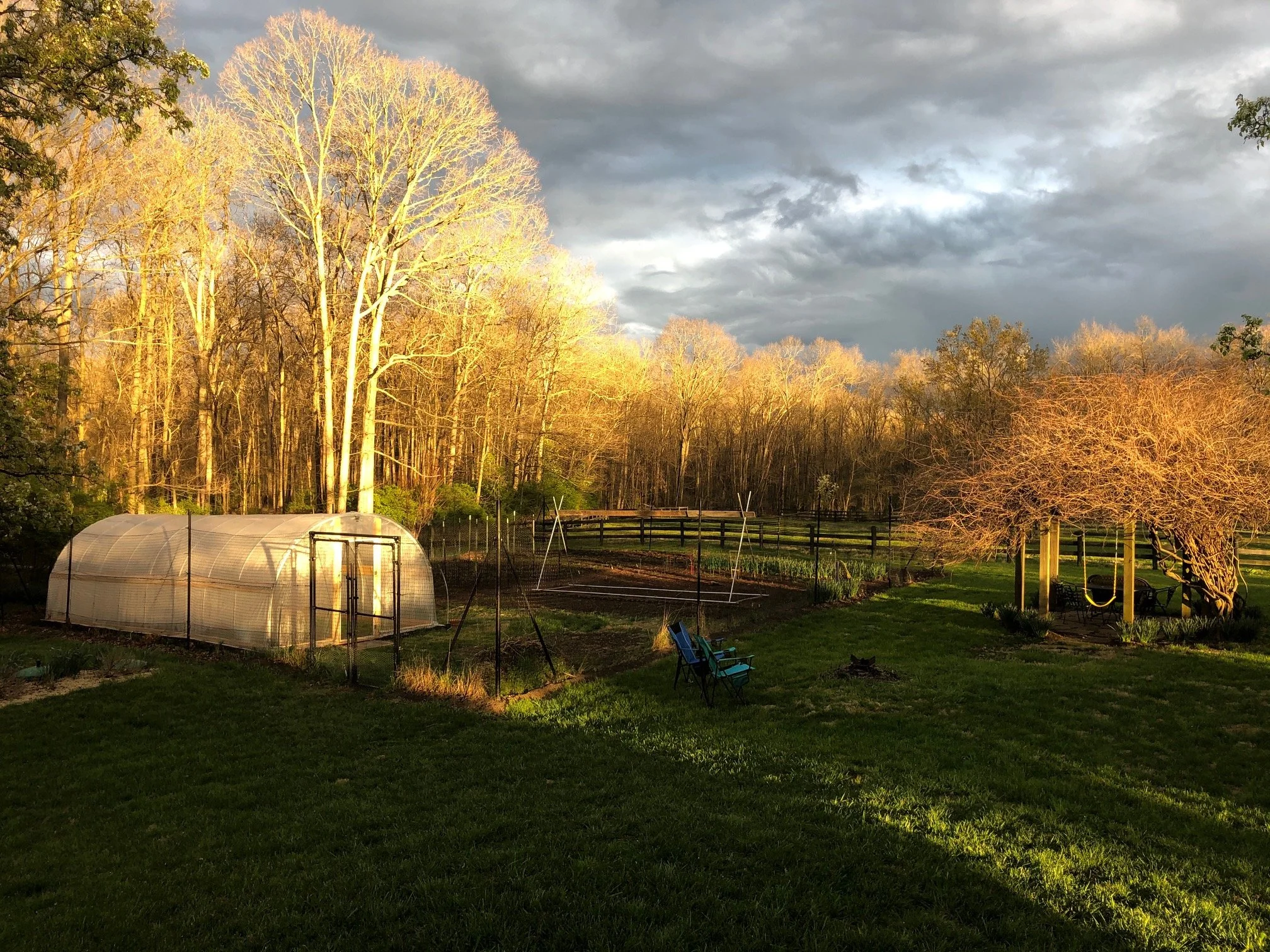 History and Vision — Community FarmShare