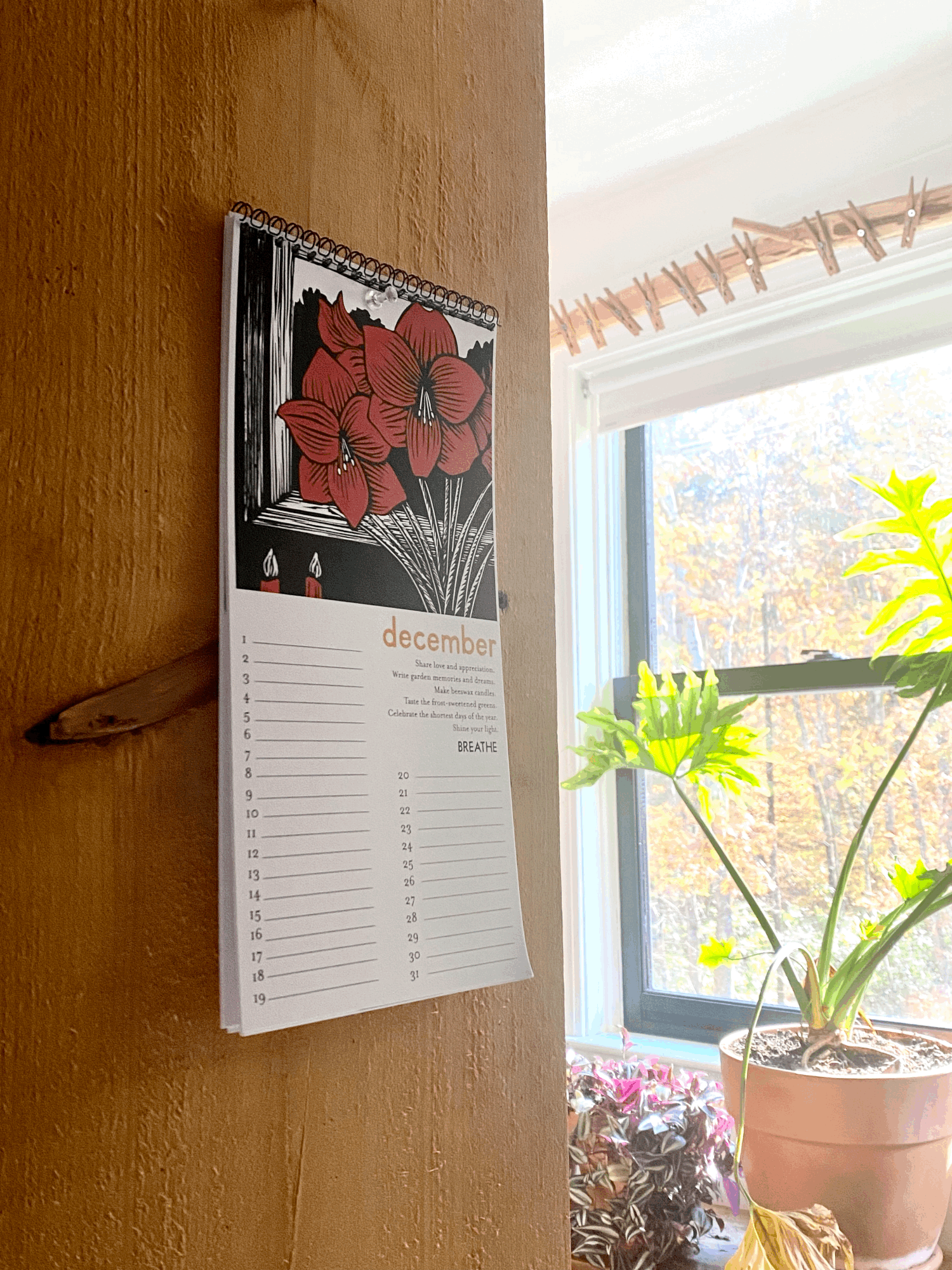 Woodcuts — Sarah Koff Studio